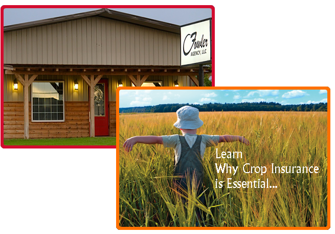 crop_insurance_essential | Fowler Agency | Ag Risk Management | Crop ...