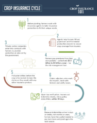 Crop Insurance | Fowler Agency | Ag Risk Management | Crop Insurance ...