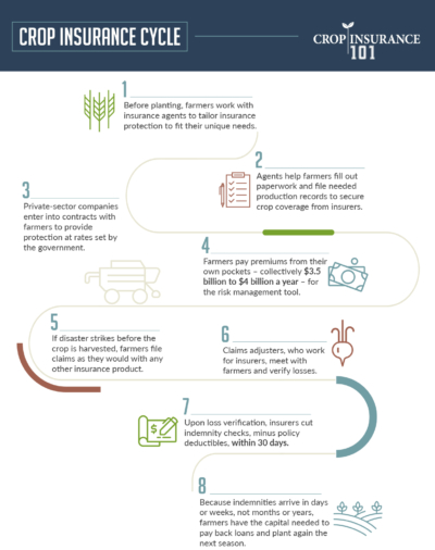 Crop Insurance | Fowler Agency | Ag Risk Management | Crop Insurance ...
