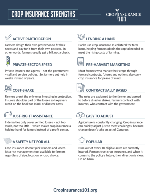 Crop Insurance | Fowler Agency | Ag Risk Management | Crop Insurance ...